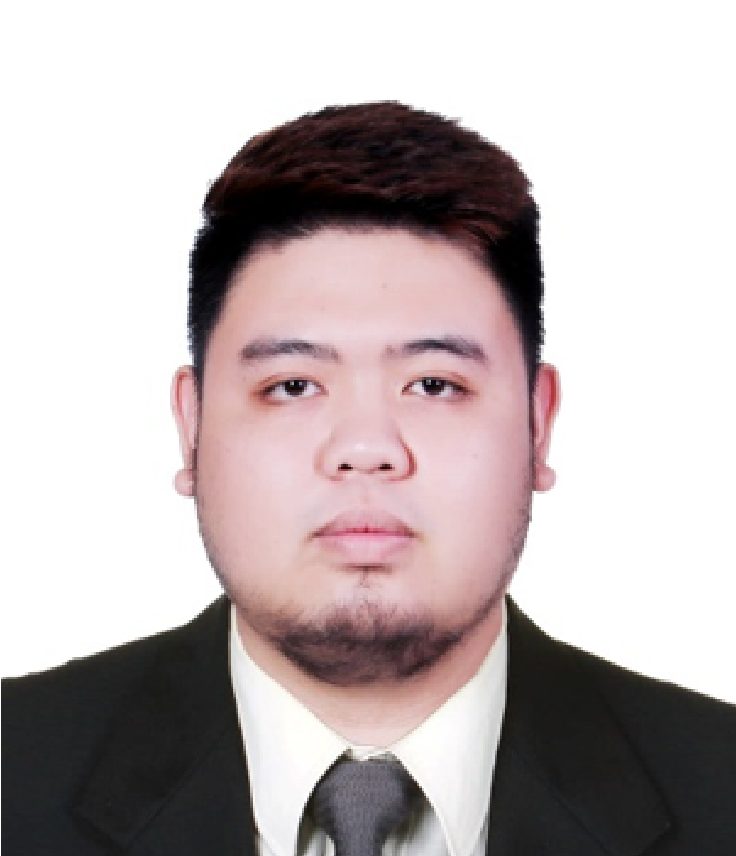 Michael Angelo D. Perez // IT Professional - Myprofile