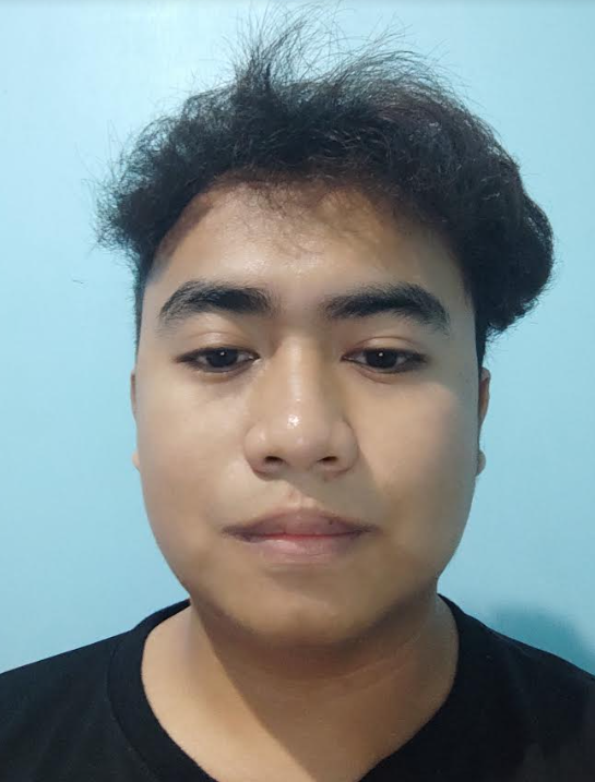 Garrie C. Guinto // Technical Support Engineer - Myprofile