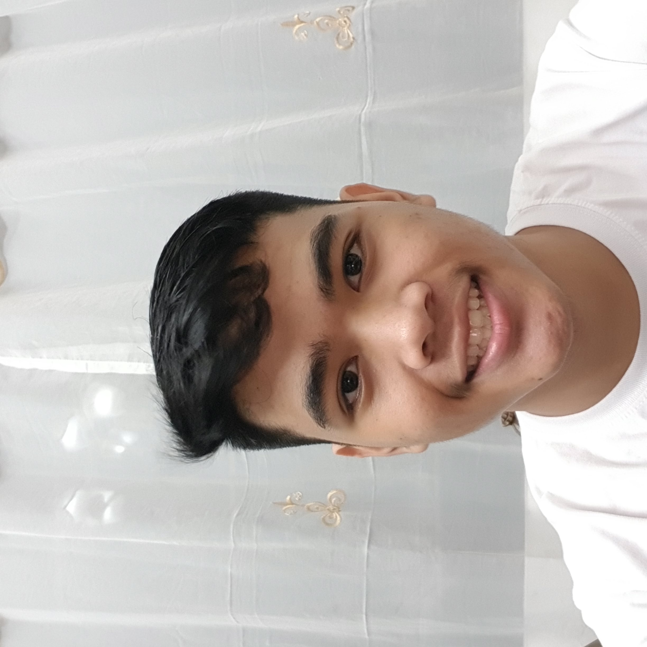 Jayson Stephen D. Dominguez // Virtual Assistant - Myprofile