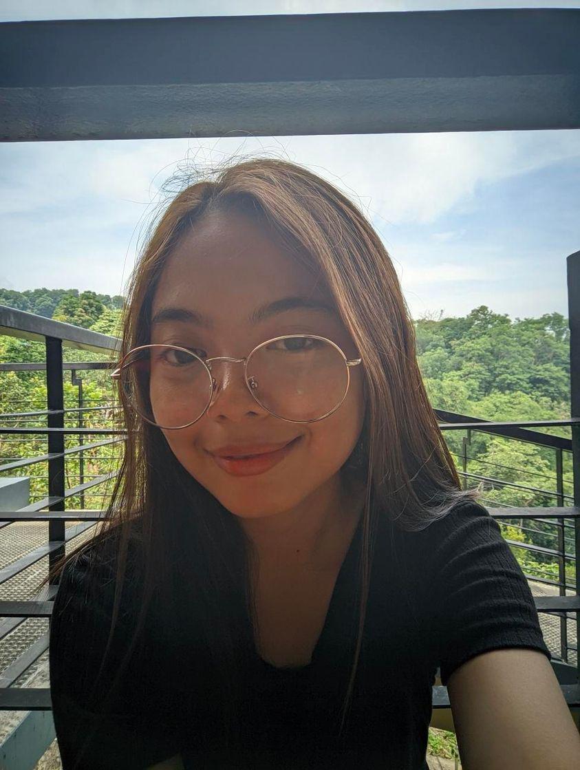 Ma. Nina A. Segui // Virtual Assistant - Myprofile