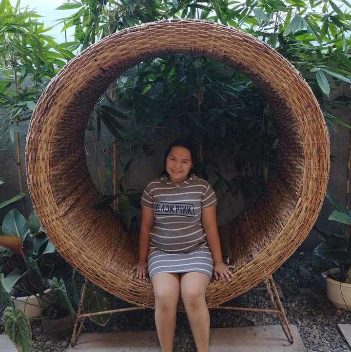 Reyjen B. Panilagao // General Virtual Assistant Specialist - Myprofile