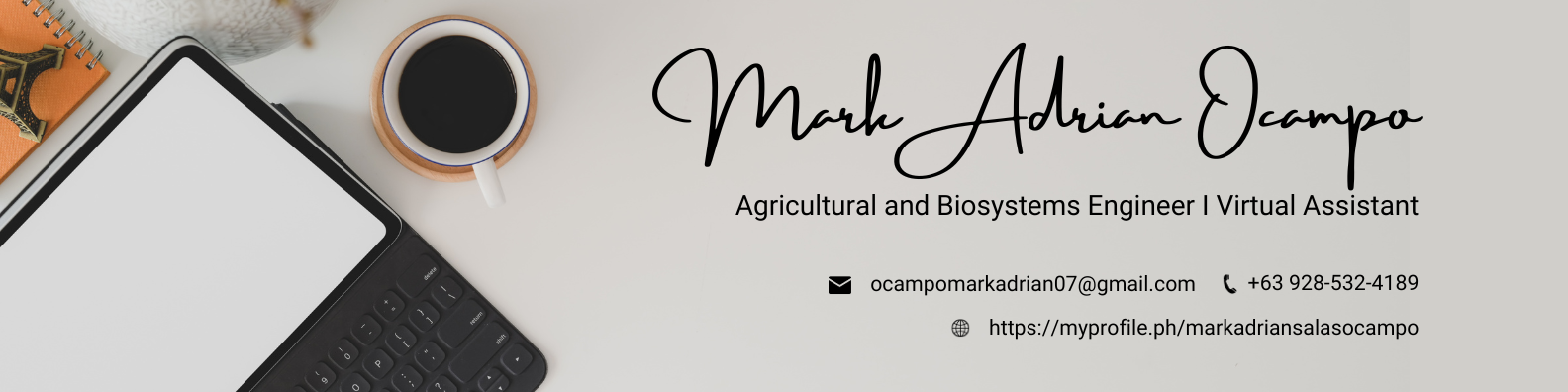 Mark Adrian Salas Ocampo // Facebook Ads Specialist and Email Marketer - Myprofile