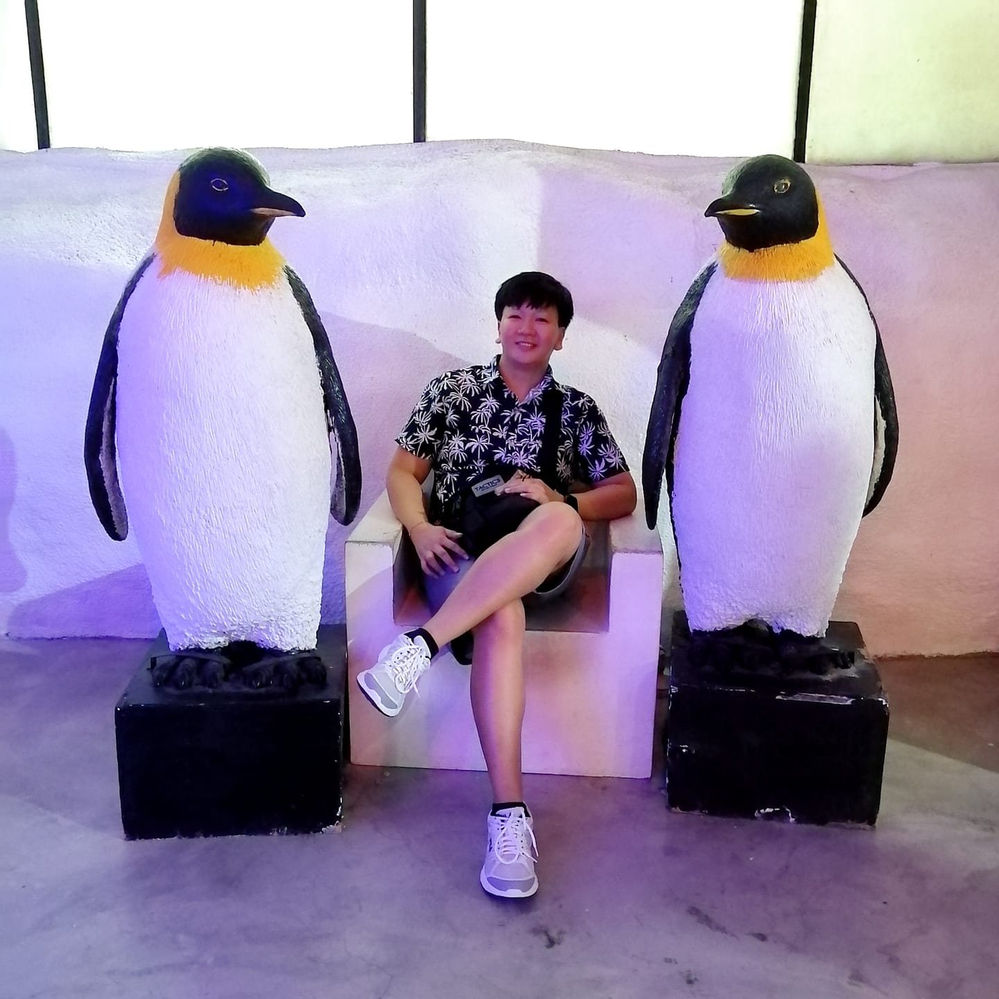 Gemma F. Lim // Virtual Assistant - Myprofile