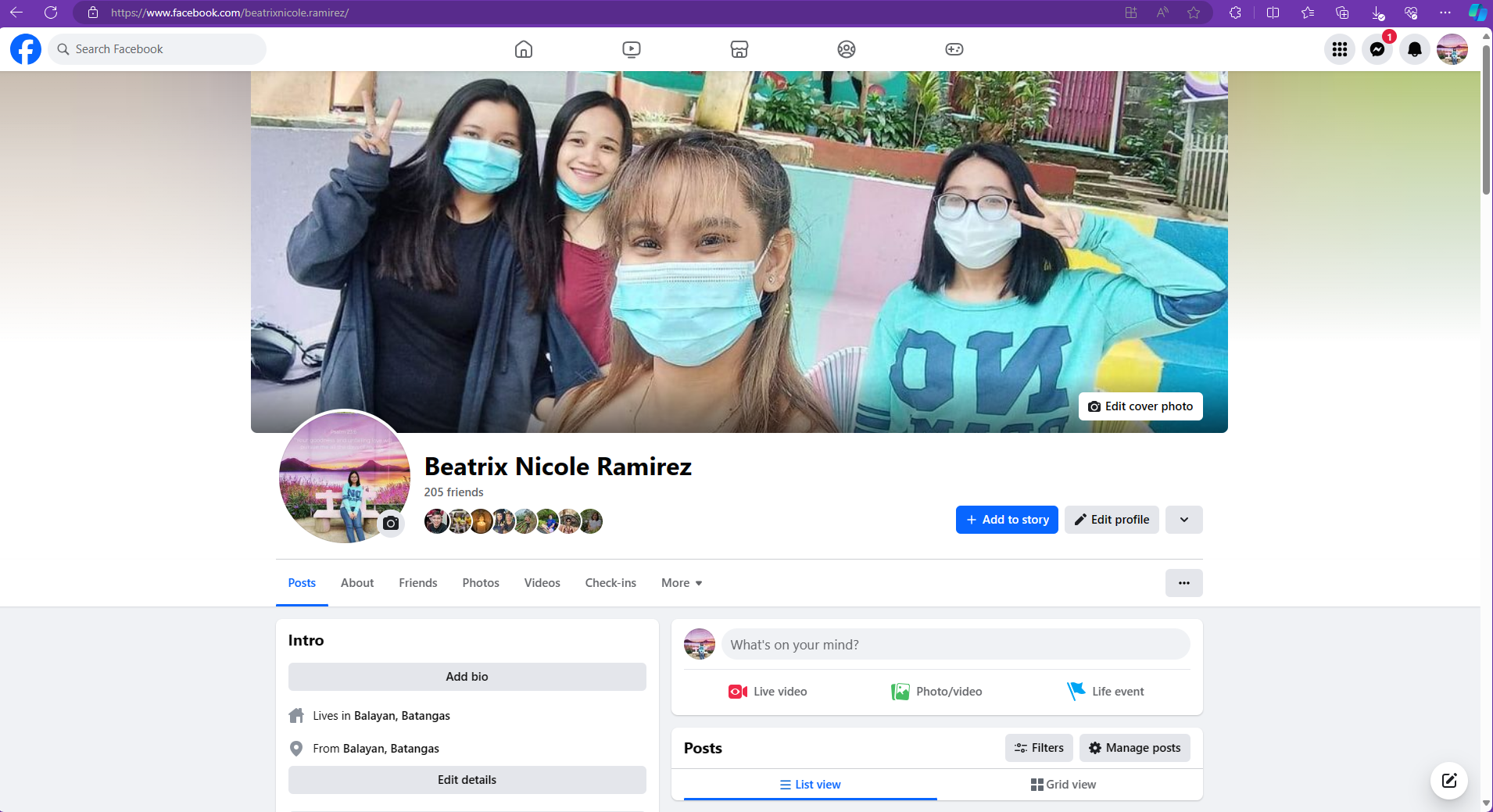 Beatrix Nicole E. Ramirez // Virtual Assistant - Myprofile