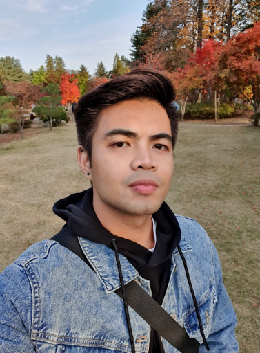 William Darwin Capulong // Virtual Assistant - Myprofile